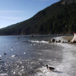 Home - Snoqualmie Valley Transportation