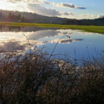 Home - Snoqualmie Valley Transportation