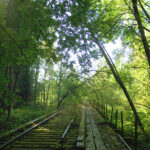 Home - Snoqualmie Valley Transportation